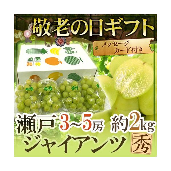 【発売日：2026年09月13日】【送料無料】種なしで皮ごと食べられ、高糖度！爽やかでスッキリした甘さが魅力の【瀬戸ジャイアンツぶどう】をおじいちゃん・おばあちゃんに♪立派な化粧箱入りで、感謝の気持ちを伝える帯を付けてお届けします！大房で美...
