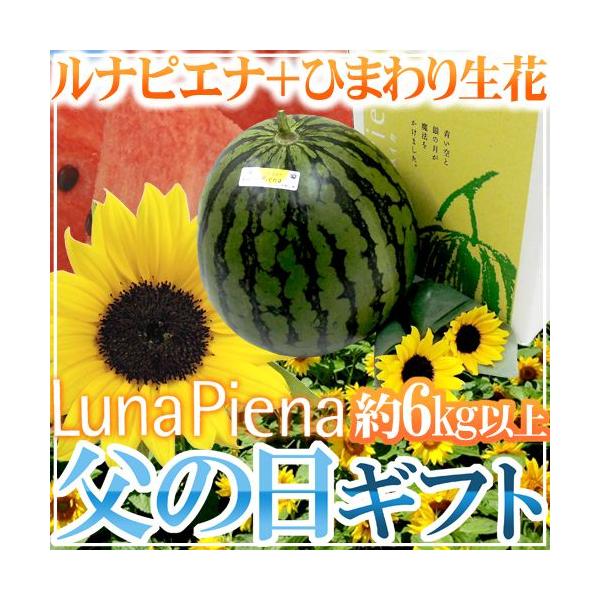 【発売日：2026年06月08日】【送料無料】希少品種のブランドすいかをお父さんに贈る♪すいかツウのお父さんも大満足の品質！ひまわり生花付きで感謝が伝わります！父の日/2021/プレゼント/ギフト/50代/60代/70代/80代/夜須/やす...
