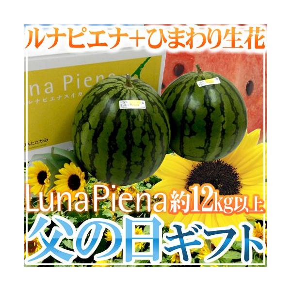 【発売日：2026年06月08日】【送料無料】希少品種のブランドすいかをお父さんに贈る♪すいかツウのお父さんも大満足の品質！ひまわり生花付きで感謝が伝わります！父の日/2021/プレゼント/ギフト/50代/60代/70代/80代/夜須/やす...
