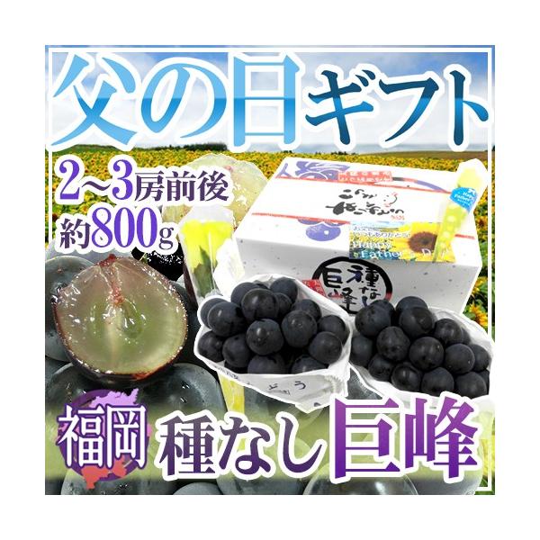 【発売日：2026年06月08日】【送料無料】丁寧に育てられた濃厚な味わいの種なし巨峰とメッセージカードでお父さんに感謝を伝えるセット♪食べやすい美味しさで柔らかジューシー！父の日/2021/プレゼント/ギフト/50代/60代/70代/80...