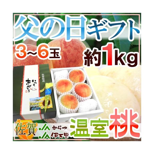 【発売日：2026年06月08日】【送料無料】瑞々しい初夏の味♪温室育ちの桃でお父さんに感謝を伝えるギフトセット！季節先取りの爽やかな甘さはきっとお父さんも喜んでくれるハズ♪父の日/2021/プレゼント/ギフト/50代/60代/70代/80...