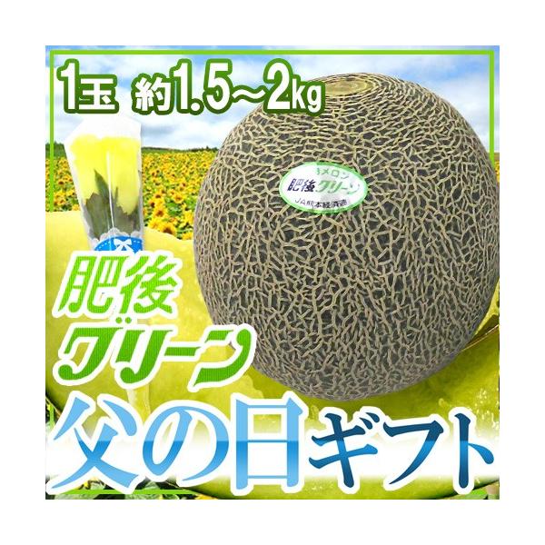 【発売日：2026年06月08日】【送料無料】メロン品種の中で最も甘いといわれるほどの甘さを持つ肥後グリーンと父の日に感謝を伝える黄色のバラ（造花）の特別セット！甘いものが好きなお父さんに♪父の日/2021/プレゼント/ギフト/50代/60...