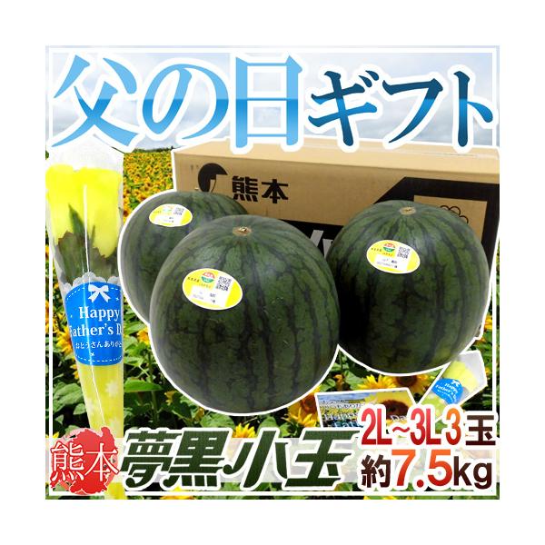 【発売日：2026年06月08日】【送料無料】小玉すいかだけどシャリシャリ感・甘さ・食べごたえどれも抜群の黒皮小玉すいかでお父さんに感謝を伝えるギフト♪すいか好きのお父さんに！父の日/2021/プレゼント/ギフト/50代/60代/70代/8...
