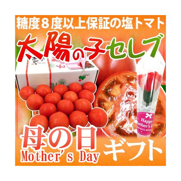 【発売日：2026年05月02日】糖度８度以上の高糖度フルーツ塩トマト【太陽の子セレブトマト】と【カーネーション造花】の当店オリジナルセットです♪母の日限定ギフトラッピング♪塩トマト/高糖度トマト/とまと/トマト/プレゼント/ギフト/フルー...