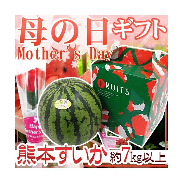 【発売日：2026年05月02日】【送料無料！】安定した味わい♪名産地の大玉スイカ【熊本スイカ】と【カーネーション造花】の当店オリジナルセットです♪スイカ/すいか/西瓜/大玉スイカ/プレゼント/ギフト/フルーツギフト/母/ははの日/ハハの日...