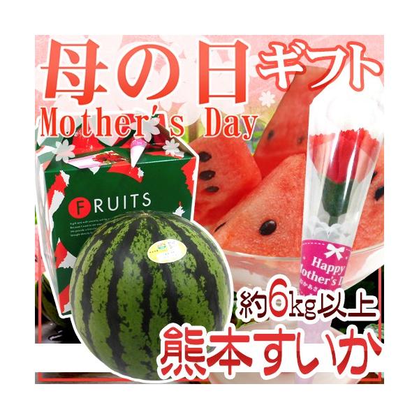 【発売日：2026年05月02日】【送料無料！】安定した味わい♪名産地の大玉スイカ【熊本スイカ】と【カーネーション造花】の当店オリジナルセットです♪スイカ/すいか/西瓜/大玉スイカ/プレゼント/ギフト/フルーツギフト/母/ははの日/ハハの日...