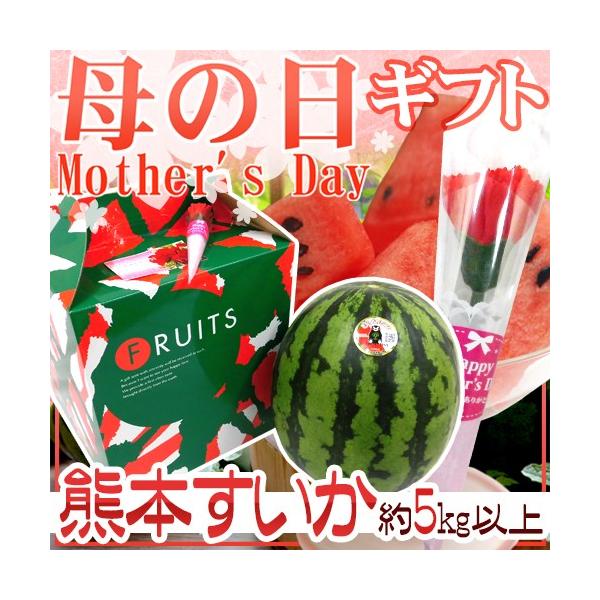 【発売日：2026年05月02日】【送料無料！】安定した味わい♪名産地の大玉スイカ【熊本スイカ】と【カーネーション造花】の当店オリジナルセットです♪スイカ/すいか/西瓜/大玉スイカ/プレゼント/ギフト/フルーツギフト/母/ははの日/ハハの日...