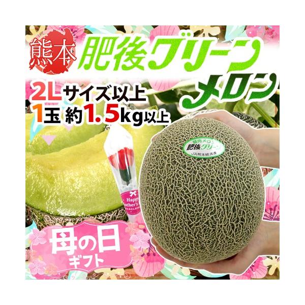 【発売日：2026年05月02日】【送料無料！】大人気♪高糖度メロン【肥後グリーン】と【カーネーション造花】の当店オリジナルセットです♪母の日限定ギフトラッピング♪マスクメロン/ブランドメロン/メロン/めろん/プレゼント/ギフト/フルーツギ...