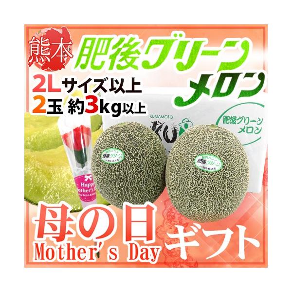 【発売日：2026年05月02日】【送料無料！】大人気♪高糖度メロン【肥後グリーン】と【カーネーション造花】の当店オリジナルセットです♪母の日限定ギフトラッピング♪マスクメロン/ブランドメロン/メロン/めろん/プレゼント/ギフト/フルーツギ...