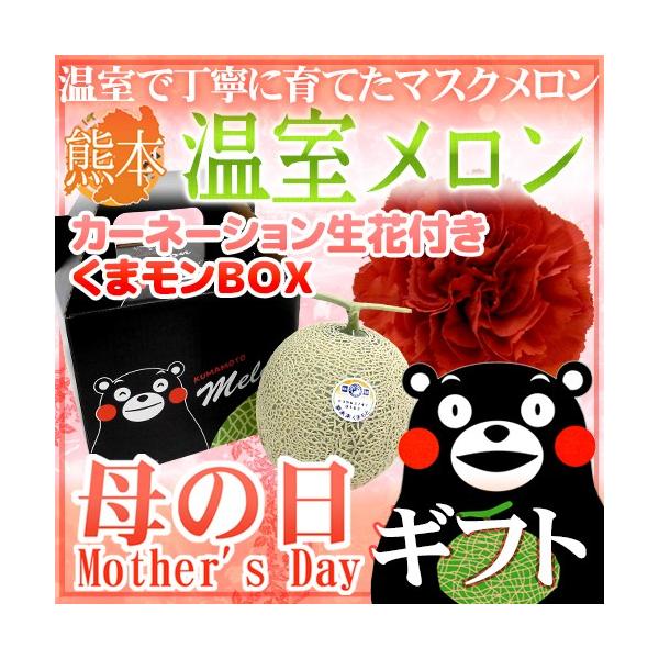 【発売日：2026年05月02日】【送料無料！】温室で丁寧に栽培された【温室青肉メロン】と【カーネーション生花】の当店オリジナルセットです♪母の日に最適！人気のゆるキャラ「くまモン」化粧箱入り！マスクメロン/温室メロン/高糖度メロン/青肉メ...
