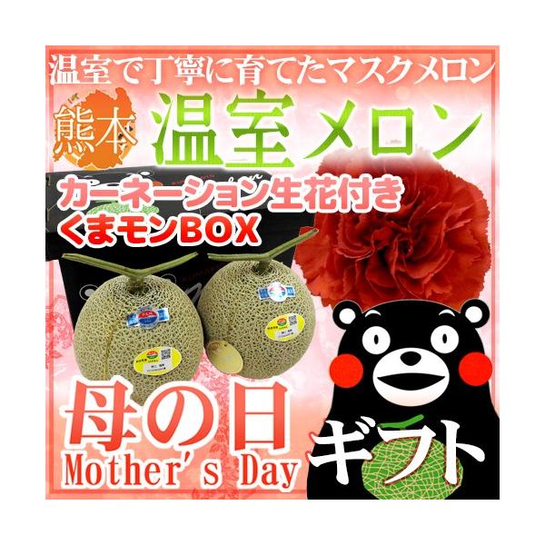 【発売日：2026年05月02日】【送料無料！】温室で丁寧に栽培された【温室青肉メロン】と【カーネーション生花】の当店オリジナルセットです♪母の日に最適！人気のゆるキャラ「くまモン」化粧箱入り！マスクメロン/温室メロン/高糖度メロン/青肉メ...