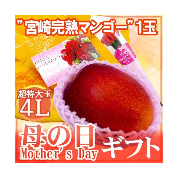 【発売日：2026年05月02日】超特大玉4Lサイズ【宮崎完熟マンゴー】と【カーネーション造花】【カード】の当店オリジナルセットです♪濃厚なブランドマンゴーでお母さんに感謝を贈る♪マンゴー/まんごー/完熟マンゴー/宮崎産マンゴー/宮崎完熟マ...
