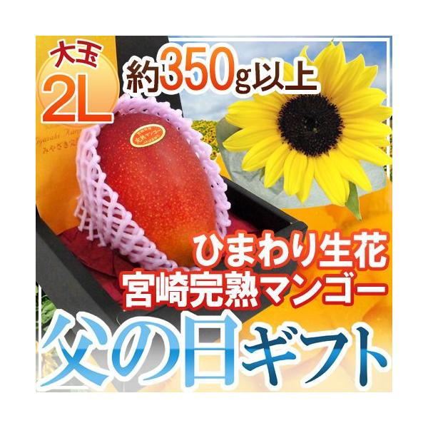 【発売日：2026年06月08日】【送料無料】誰もが一度は食べてみたい！ブランドマンゴー「宮崎完熟マンゴー」とひまわり生花でお父さんに感謝を伝えるセット！濃厚な味わいはお父さんも感激！父の日/2021/プレゼント/ギフト/50代/60代/7...