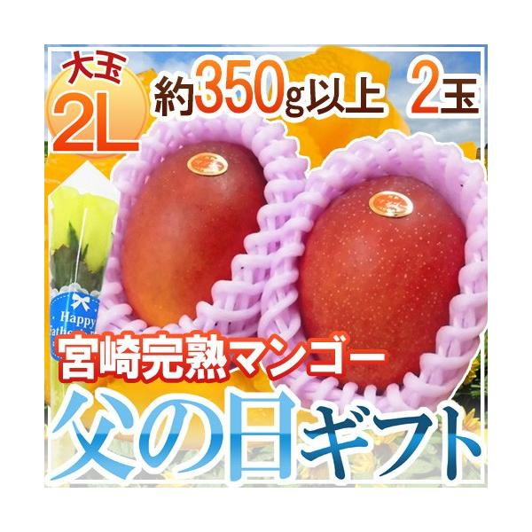 【発売日：2026年06月08日】誰もが一度は食べてみたい！ブランドマンゴー「宮崎完熟マンゴー」と「黄色のバラ造花」でお父さんに感謝を伝えるセット！濃厚な味わいはお父さんも感激！父の日/2021/プレゼント/ギフト/50代/60代/70代/...