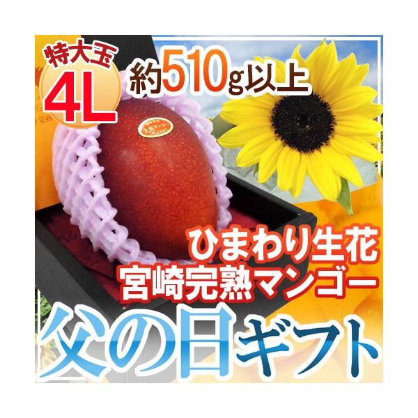 【発売日：2026年06月08日】【送料無料】誰もが一度は食べてみたい！ブランドマンゴー「宮崎完熟マンゴー」とひまわり生花でお父さんに感謝を伝えるセット！濃厚な味わいはお父さんも感激！父の日/2021/プレゼント/ギフト/50代/60代/7...