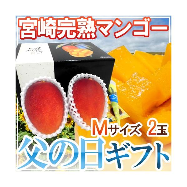 【発売日：2026年06月08日】誰もが一度は食べてみたい！ブランドマンゴー「宮崎完熟マンゴー」と「黄色のバラ造花」でお父さんに感謝を伝えるセット！濃厚な味わいはお父さんも感激！宮崎マンゴー/完熟マンゴー/芒果/mango/プレゼント/ギフ...