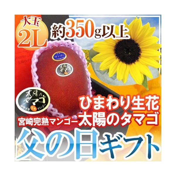 【発売日：2026年06月08日】【送料無料】誰もが一度は食べてみたい！超有名・最高峰ブランドマンゴー宮崎完熟マンゴー「太陽のタマゴ」とひまわり生花でお父さんに感謝を伝えるセット！濃厚な味わいはお父さんも感激！父の日/2021/プレゼント/...