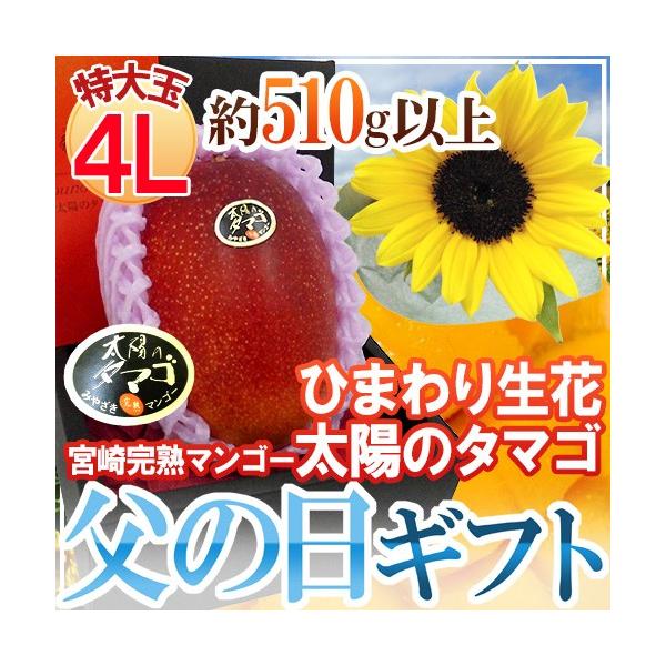 【発売日：2026年06月08日】【送料無料】誰もが一度は食べてみたい！超有名・最高峰ブランドマンゴー宮崎完熟マンゴー「太陽のタマゴ」とひまわり生花でお父さんに感謝を伝えるセット！濃厚な味わいはお父さんも感激！父の日/2021/プレゼント/...