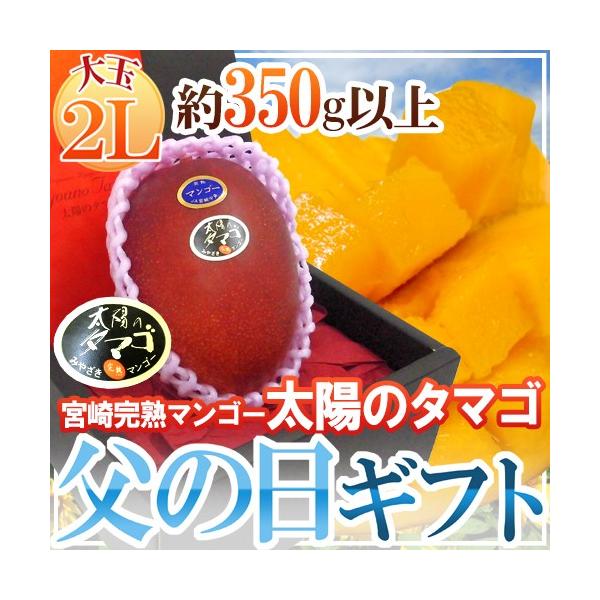 【発売日：2026年06月08日】【送料無料】誰もが一度は食べてみたい！超有名・最高峰ブランドマンゴー宮崎完熟マンゴー「太陽のタマゴ」でお父さんに感謝を伝えるセット！濃厚な味わいはお父さんも感激！父の日/2021/プレゼント/ギフト/50代...