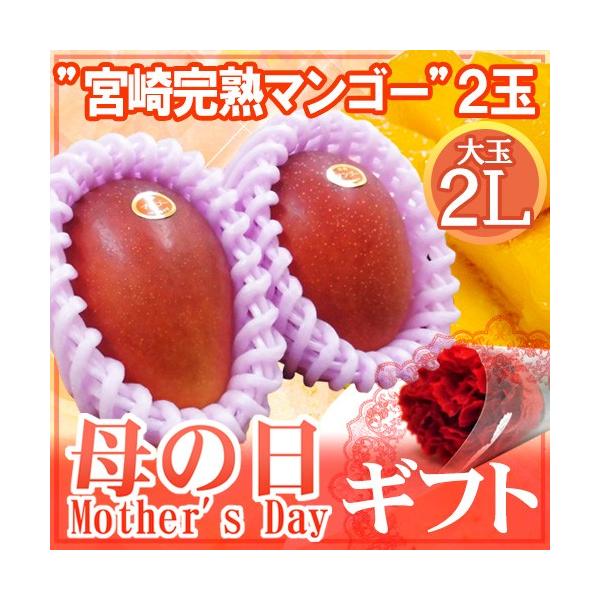 【発売日：2026年05月02日】大玉2Lサイズ【宮崎完熟マンゴー】と【カーネーション造花】【カード】の当店オリジナルセットです♪濃厚なブランドマンゴーでお母さんに感謝を贈る♪マンゴー/まんごー/完熟マンゴー/宮崎産マンゴー/宮崎完熟マンゴ...