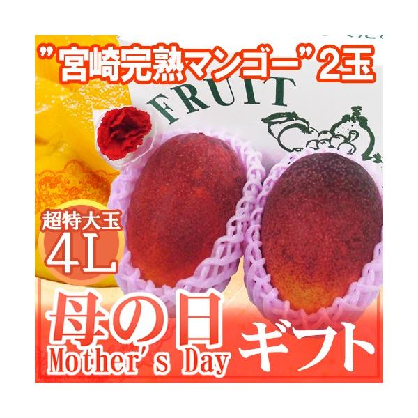【発売日：2026年05月02日】超特大玉4Lサイズ【宮崎完熟マンゴー】と【カーネーション造花】【カード】の当店オリジナルセットです♪濃厚なブランドマンゴーでお母さんに感謝を贈る♪マンゴー/まんごー/完熟マンゴー/宮崎産マンゴー/宮崎完熟マ...