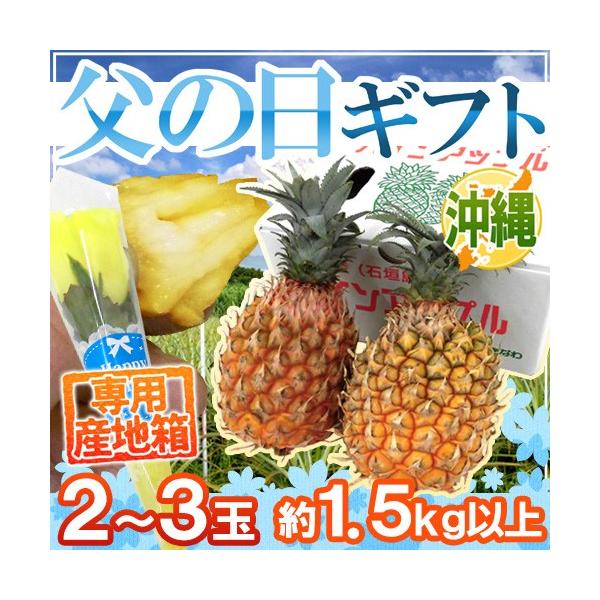 【発売日：2026年06月08日】【送料無料】手でちぎって食べる楽しいパインでお父さんに感謝を伝えるギフトセット！トロピカルで甘酸っぱい味わいはきっとお父さんも喜んでくれるハズ♪父の日/2021/プレゼント/ギフト/50代/60代/70代/...
