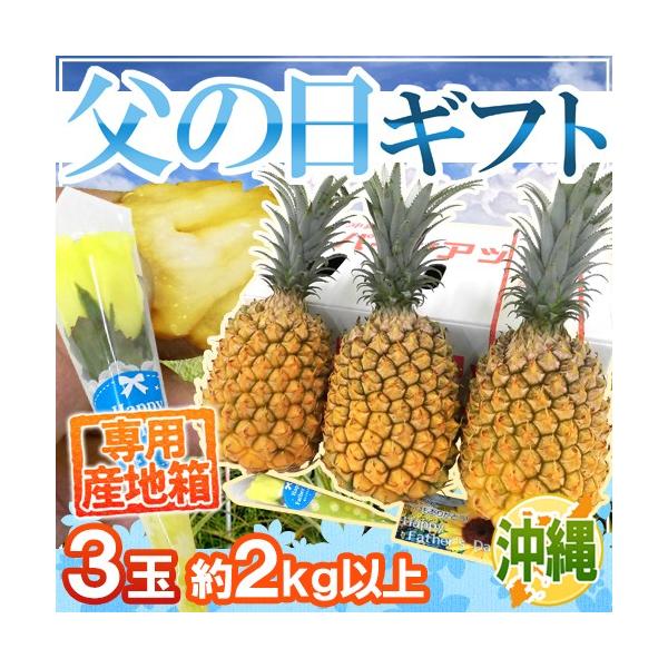 【発売日：2026年06月08日】【送料無料】手でちぎって食べる楽しいパインでお父さんに感謝を伝えるギフトセット！トロピカルで甘酸っぱい味わいはきっとお父さんも喜んでくれるハズ♪父の日/2021/プレゼント/ギフト/50代/60代/70代/...