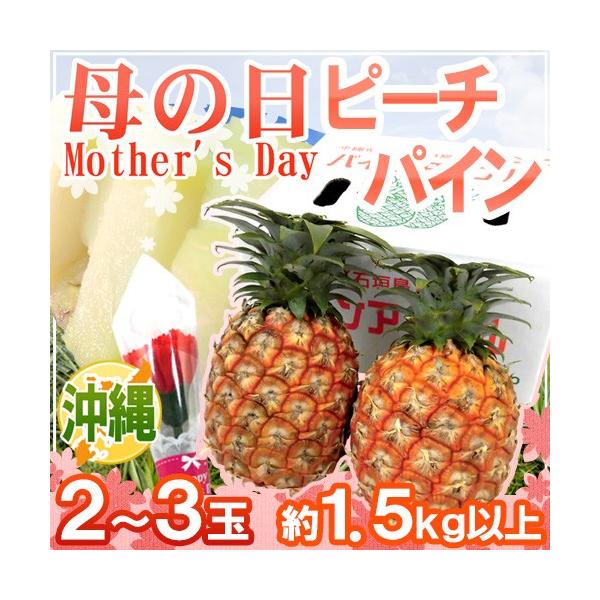 【発売日：2026年05月02日】【送料無料！】花や桃のような香りの注目のパイナップル【ピーチパイン】と【カーネーション造花】の当店オリジナルセットです♪母の日限定ギフトラッピング♪ミルクパイン/ソフトタッチ/ピーチパイナップル/沖縄パイン...