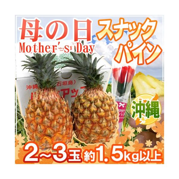 【発売日：2026年05月02日】【送料無料！】手でちぎって食べられる注目のパイナップル【スナックパイン】と【カーネーション造花】の当店オリジナルセットです♪母の日限定ギフトラッピング♪スナックパイン/ボゴールパイン/沖縄パイン/国産パイン...