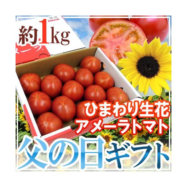 【発売日：2026年06月08日】【送料無料】健康に気を使うお父さんに♪ブランドフルーツトマト「アメーラ」とひまわり生花でお父さんに感謝を伝えるセット！濃厚な味わいはお父さんも感激！父の日/2021/プレゼント/ギフト/50代/60代/70...