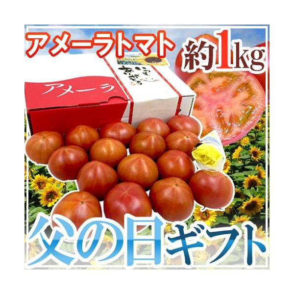 【発売日：2026年06月08日】【送料無料】健康に気を使うお父さんに♪ブランドフルーツトマト「アメーラ」と黄色のバラ造花でお父さんに感謝を伝えるオリジナルギフトセット！父の日限定ギフトラッピングでお届け♪濃厚な味わいはお父さんも感激！父の...