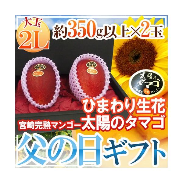 【発売日：2026年06月08日】【送料無料】誰もが一度は食べてみたい！超有名・最高峰ブランドマンゴー宮崎完熟マンゴー「太陽のタマゴ」とひまわり生花でお父さんに感謝を伝えるセット！濃厚な味わいはお父さんも感激！父の日/2021/プレゼント/...