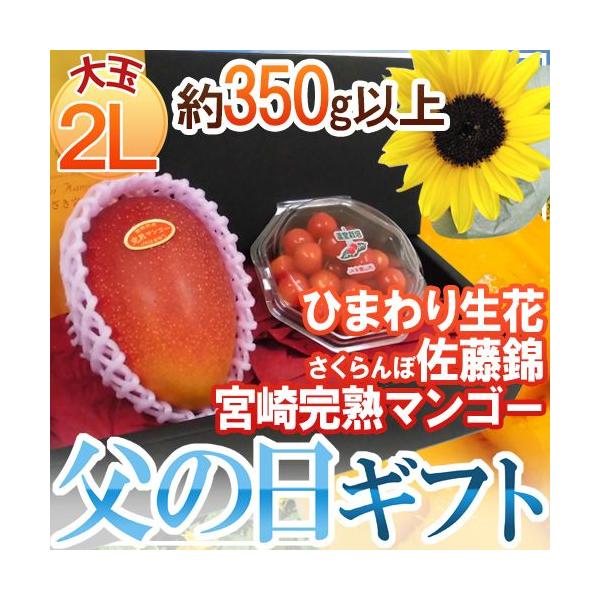 【発売日：2026年06月08日】【送料無料】誰もが一度は食べてみたい！ブランドマンゴー「宮崎完熟マンゴー」とさくらんぼの王様・初夏を感じる甘酸っぱさの「佐藤錦」ひまわり生花でお父さんに感謝を伝えるセット！高級感溢れる味わいはお父さんも感激...