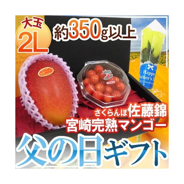 【発売日：2026年06月08日】【送料無料】誰もが一度は食べてみたい！ブランドマンゴー「宮崎完熟マンゴー」とさくらんぼの王様・初夏を感じる甘酸っぱさの「佐藤錦」黄色のバラ造花でお父さんに感謝を伝えるセット！高級感溢れる味わいはお父さんも感...