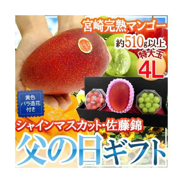 【発売日：2026年06月08日】【送料無料】誰もが一度は食べてみたい！ブランドマンゴー「宮崎完熟マンゴー」と「佐藤錦」「シャインマスカット」黄色バラ造花でお父さんに感謝を伝えるセット！父の日/2021/プレゼント/ギフト/50代/60代/...