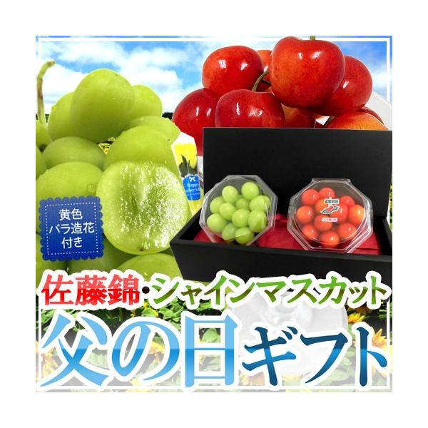 【発売日：2026年06月08日】【送料無料】瑞々しい初夏の味♪さくらんぼとマスカットお父さんに感謝を伝えるギフトセット！季節先取りの爽やかな甘さはきっとお父さんも喜んでくれるハズ♪父の日/2021/プレゼント/ギフト/50代/60代/70...