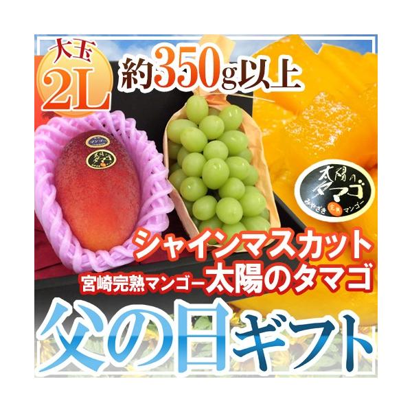 【発売日：2026年06月08日】【送料無料】誰もが一度は食べてみたい！超有名・最高峰ブランドマンゴー 宮崎完熟マンゴー「太陽のタマゴ」と甘さバツグン♪皮ごと食べられて種なしの「シャインマスカット」ひまわり生花でお父さんに感謝を伝えるセット...