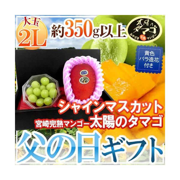 【発売日：2026年06月08日】【送料無料】誰もが一度は食べてみたい！超有名・最高峰ブランドマンゴー 宮崎完熟マンゴー「太陽のタマゴ」と皮ごと食べられて種もない人気のマスカット「シャインマスカット」黄色バラ造花でお父さんに感謝を伝えるセッ...