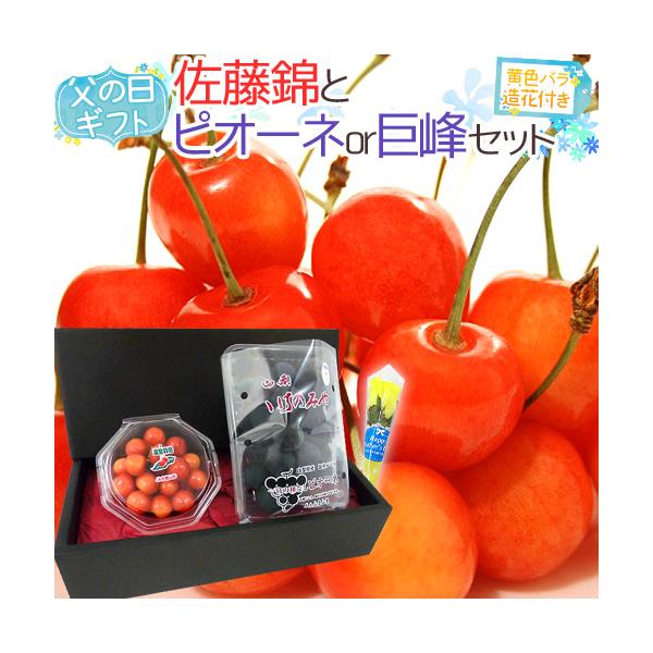 【発売日：2026年06月08日】【送料無料】さくらんぼの王様「佐藤錦」と食べやすく濃厚な黒ブドウ「種なし巨峰」又は「種なしピオーネ」のどちらか、そして「バラ造花」でお父さんに感謝を伝えるセット！高級感溢れる味わいはお父さんも感激！父の日/...
