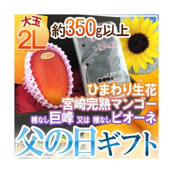 【発売日：2026年06月08日】【送料無料】誰もが一度は食べてみたい！ブランドマンゴー「宮崎完熟マンゴー」と食べやすく濃厚な黒ブドウ「種なし巨峰」又は「種なしピオーネ」のどちらか、そして「ひまわり生花」でお父さんに感謝を伝えるセット！高級...