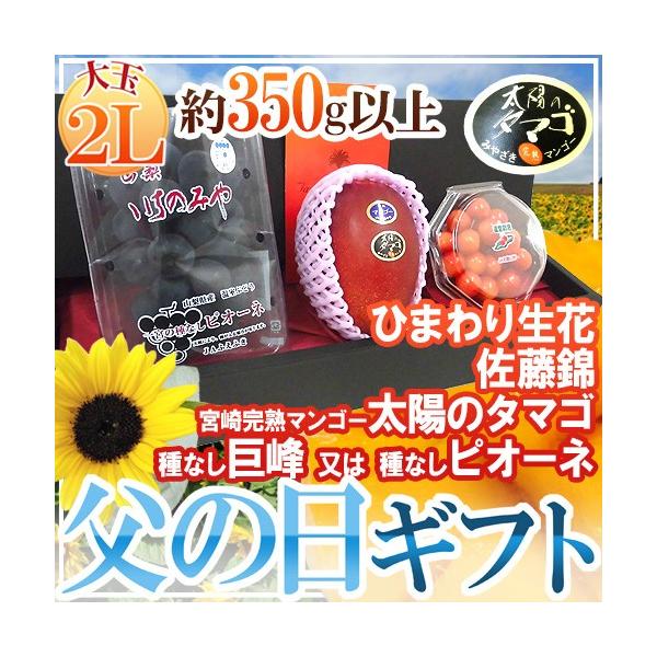 【発売日：2026年06月08日】【送料無料】誰もが一度は食べてみたい！超有名・最高峰ブランドマンゴー 宮崎完熟マンゴー「太陽のタマゴ」とさくらんぼの王様・初夏を感じる甘酸っぱさの「佐藤錦」、ぶどうの王様、食べやすく濃厚な黒ブドウ「種なし巨...