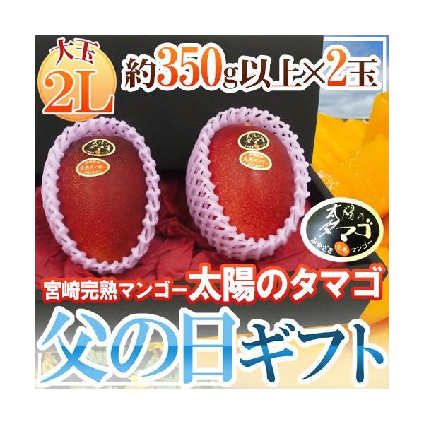 【発売日：2026年06月08日】誰もが一度は食べてみたい！超有名・最高峰ブランドマンゴー宮崎完熟マンゴー「太陽のタマゴ」でお父さんに感謝を伝えるセット！濃厚な味わいはお父さんも感激！父の日/2021/プレゼント/ギフト/50代/60代/7...