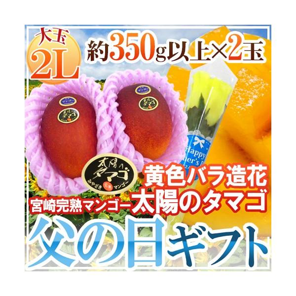 【発売日：2026年06月08日】【送料無料】誰もが一度は食べてみたい！超有名・最高峰ブランドマンゴー宮崎完熟マンゴー「太陽のタマゴ」でお父さんに感謝を伝えるセット！濃厚な味わいはお父さんも感激！父の日/2021/プレゼント/ギフト/50代...