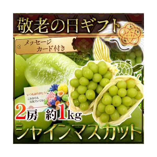 【発売日：2026年09月13日】【送料無料】種なしで皮ごと食べられてあま〜い！瑞々しいフルーツを敬老の日に贈る♪人気の【シャインマスカット】をおじいちゃん・おばあちゃんに！頬張れば口いっぱいにマスカットの香りが広がります♪おじいちゃん・お...