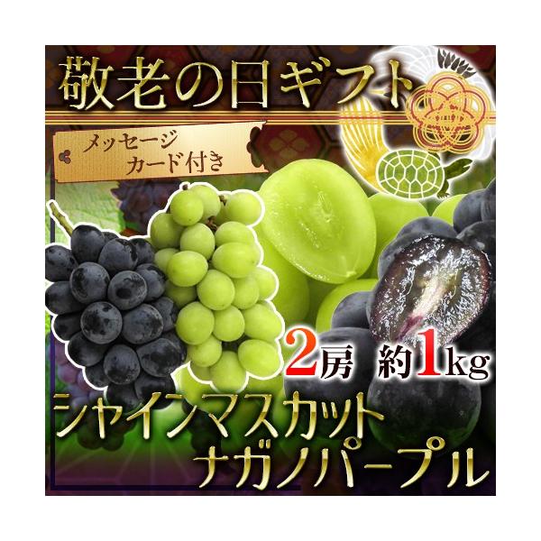 【発売日：2026年09月13日】【送料無料】種なしで皮ごと食べられてあま〜い！瑞々しいフルーツを敬老の日に贈る♪人気の【シャインマスカット】と【ナガノパープル】をおじいちゃん・おばあちゃんに！頬張れば口いっぱいにマスカットの香りが広がりま...