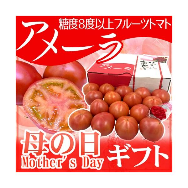 【発売日：2026年05月02日】【送料無料！】有名ブランドトマト【アメーラ】と【カーネーション造花】の当店オリジナルセットです♪母の日限定ギフトラッピング♪高糖度トマト/塩トマト/とまと/トマト/プレゼント/ギフト/フルーツギフト/母/は...