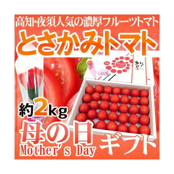 【発売日：2026年05月02日】【送料無料！】当店でも人気のフルーツトマト【とさかみトマト】と【カーネーション造花】の当店オリジナルセットです♪母の日限定ギフトラッピング♪フルーツトマト/高糖度トマト/とまと/トマト/プレゼント/ギフト/...