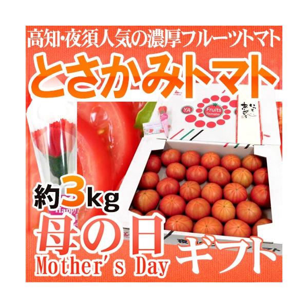 【発売日：2026年05月02日】【送料無料！】当店でも人気のフルーツトマト【とさかみトマト】と【カーネーション造花】の当店オリジナルセットです♪母の日限定ギフトラッピング♪フルーツトマト/高糖度トマト/とまと/トマト/プレゼント/ギフト/...