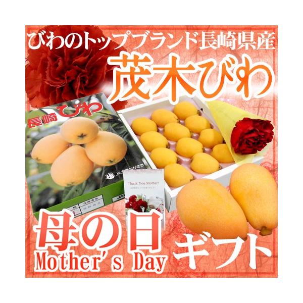 【発売日：2026年05月02日】【送料無料！】トップブランド産地長崎県産【茂木びわ】と【カーネーション生花】の当店オリジナルセットです♪母の日限定ギフトラッピング♪ビワ/枇杷/もぎびわ/プレゼント/ギフト/フルーツギフト/母/ははの日/ハ...