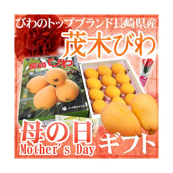 【発売日：2026年05月02日】【送料無料！】トップブランド産地長崎県産【茂木びわ】と【カーネーション造花】の当店オリジナルセットです♪母の日限定ギフトラッピング♪ビワ/枇杷/もぎびわ/プレゼント/ギフト/フルーツギフト/母/ははの日/ハ...